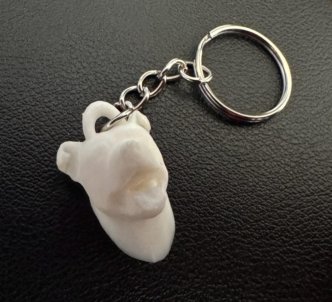 Custom 3D Printed Keychain - Personalized Pet Keychains, Name Tags ...