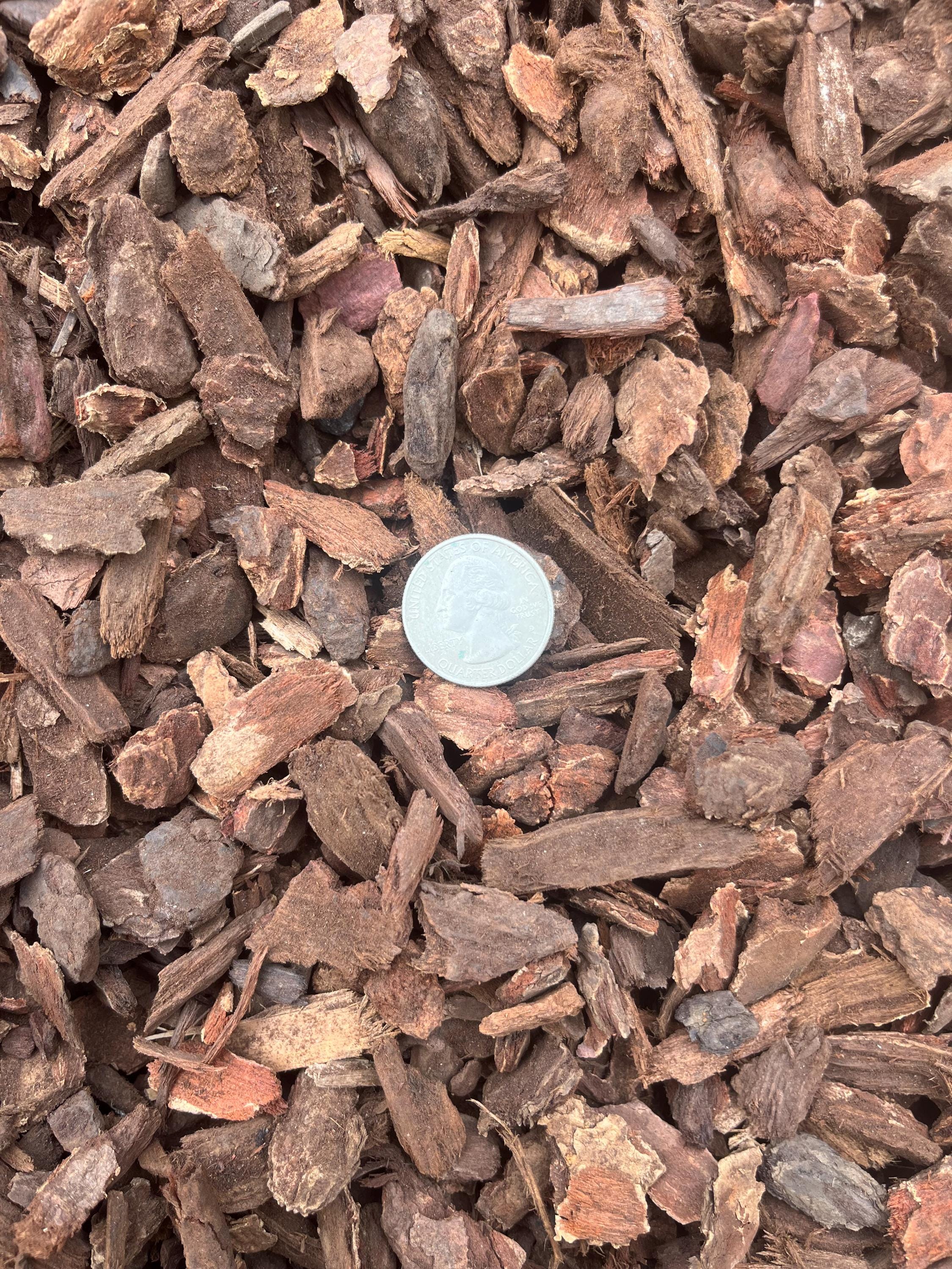 Premium Orchid Bark – All-natural Douglas Fir Bark for Orchid Soil Mix ...