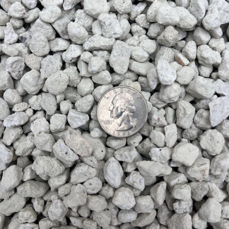 Horticultural Pumice for Plants | 3/8" Screened Lava Rock | Natural ...