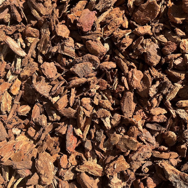 Bark - Etsy