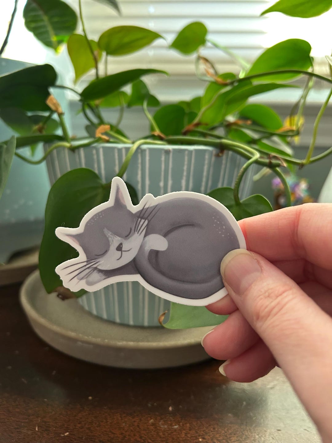 Sleepy Gray Cat Sticker: Hand-drawn Vinyl Decal, Laptop Decor - Etsy