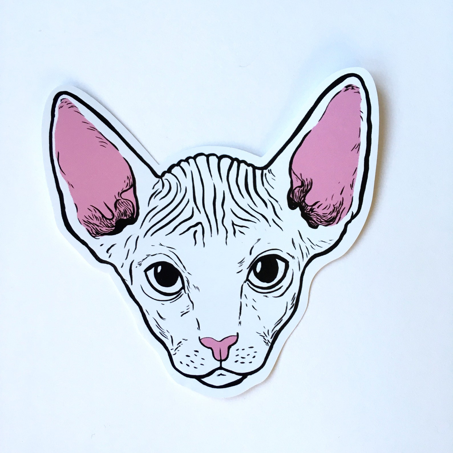 Sphynx Cat Vinyl Sticker - Etsy Israel