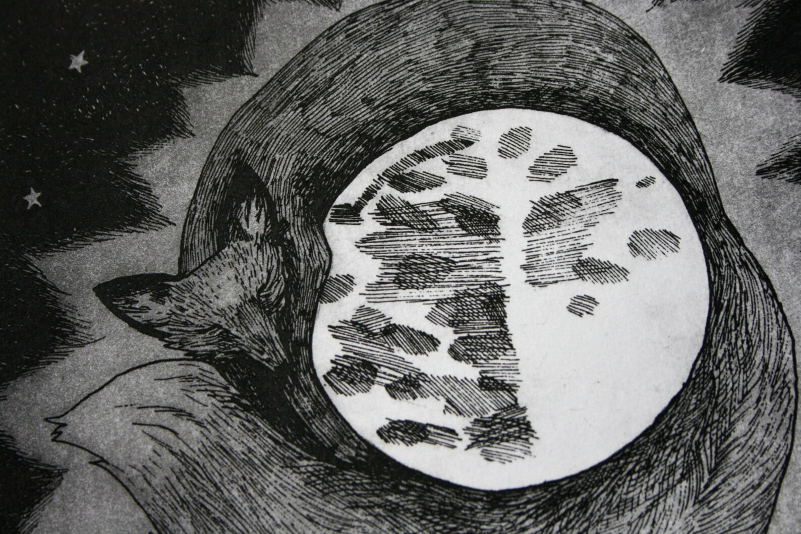 Fox and Moon Original Print Photo Etching With Aquatint Black - Etsy