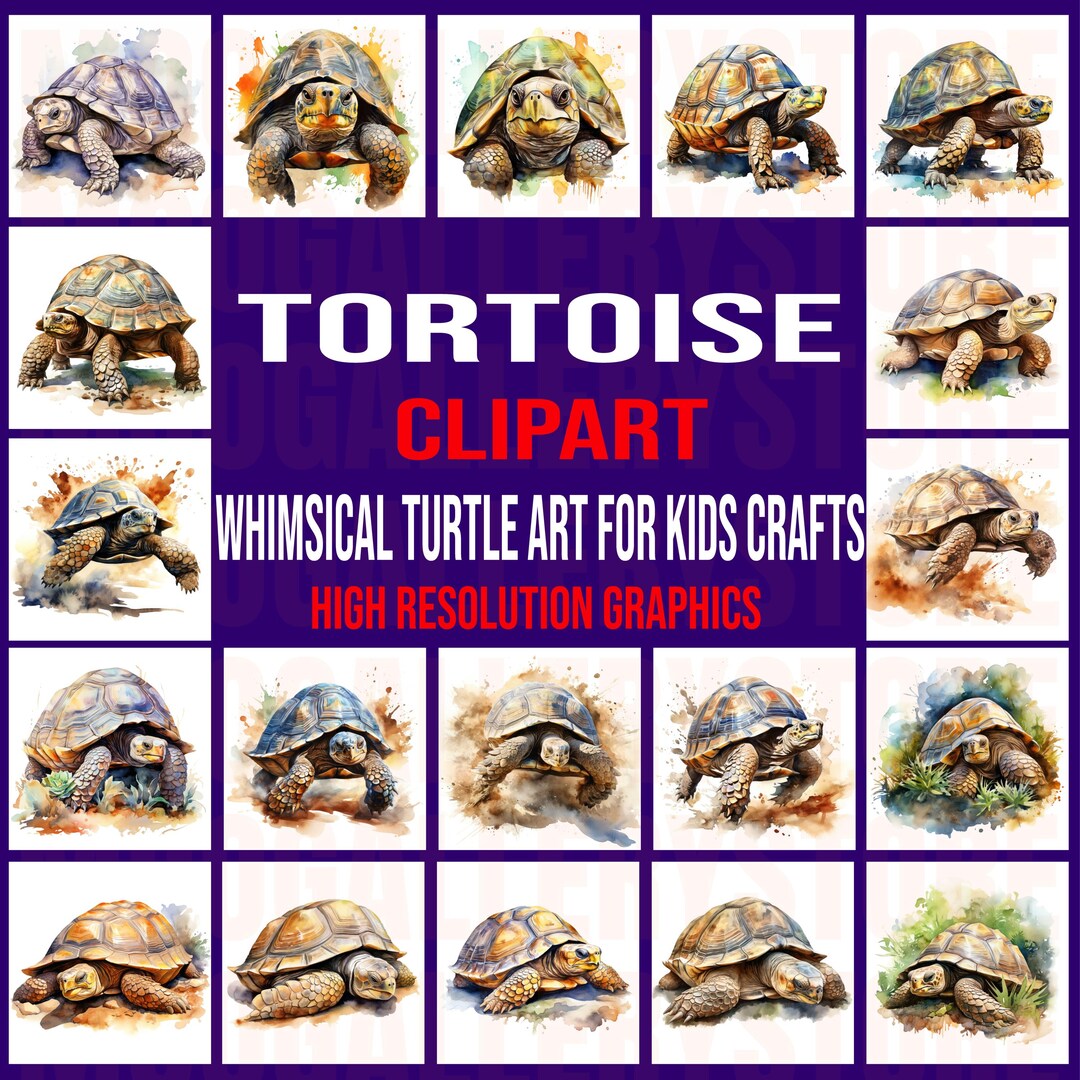 20+ Watercolor Tortoise Clipart Bundle – Cute Turtle PNG Illustrations ...