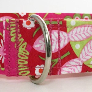 Gypsy Bandana, Paisley Adjustable Martingale Dog Collar - Made to Order ...