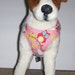 Owl Comfort Soft Dog Harness Made to Order - Etsy
