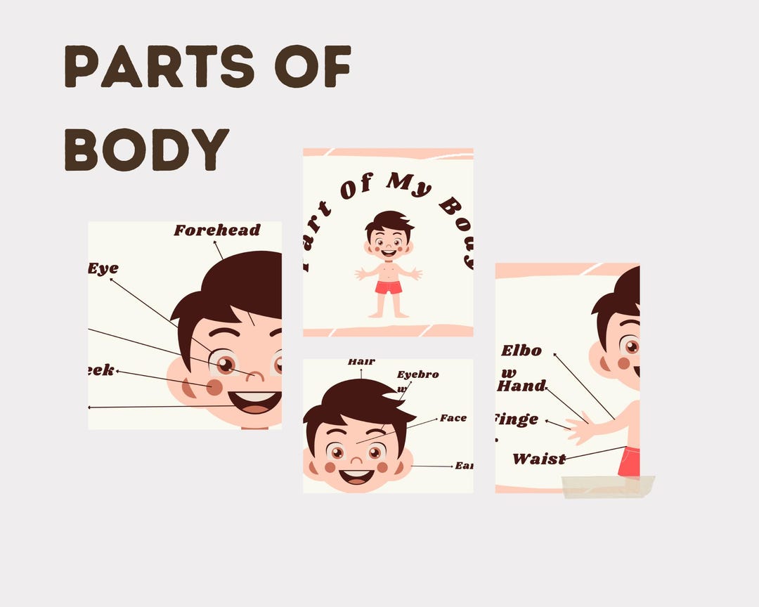 Body Parts Flashcards: Montessori Learning for Kids (PDF Download) - Etsy