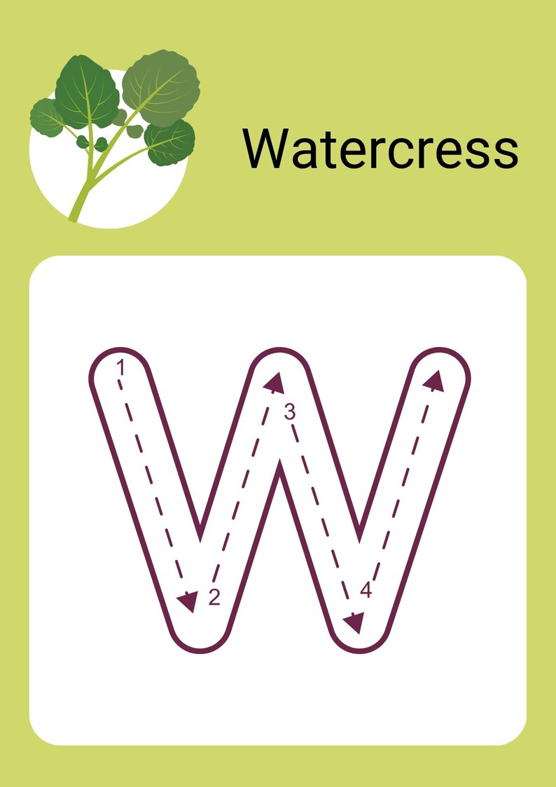 Fresh Vegetables Tracing Worksheets for Preschool and Kindergarten ...