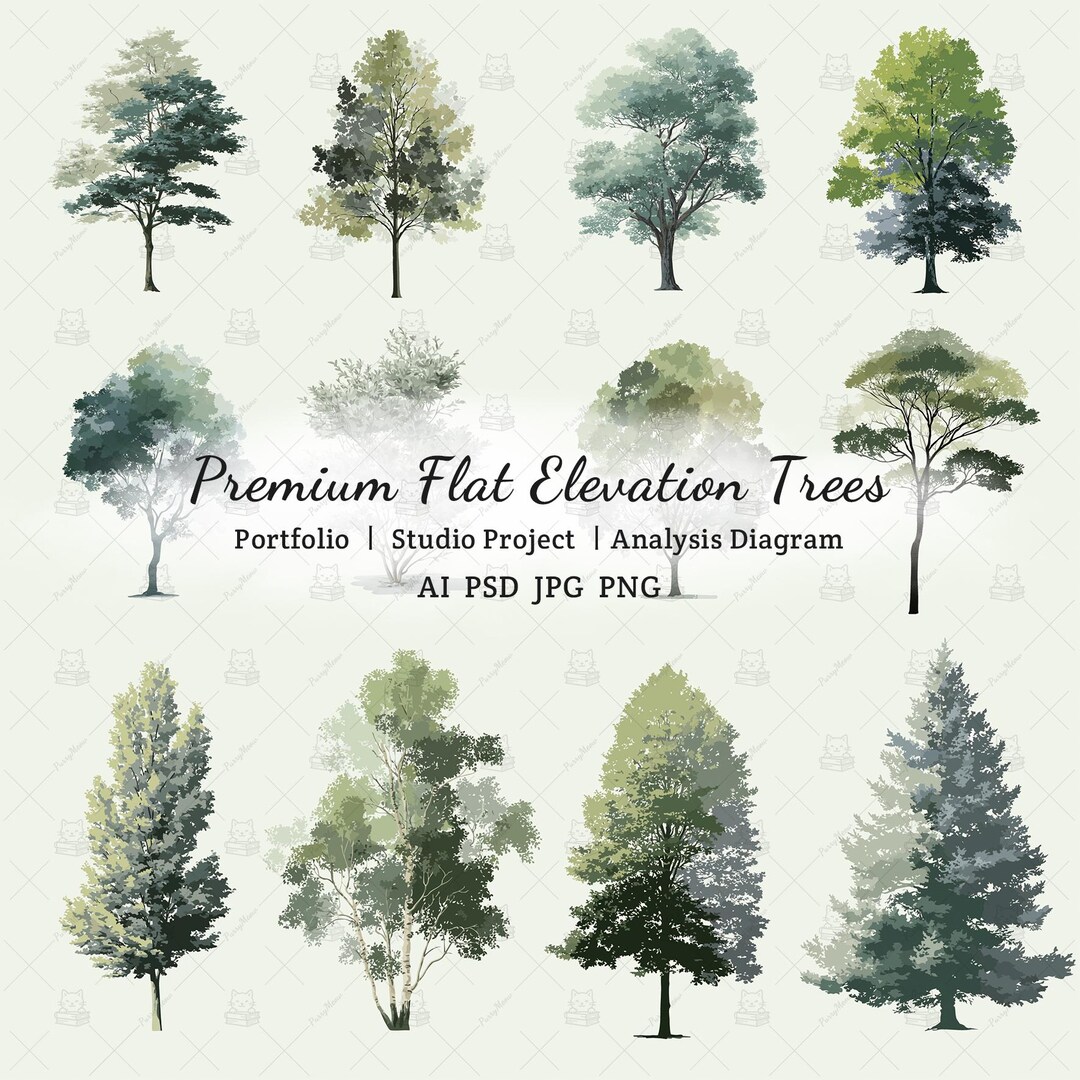 Architectural Tree Elevation Clipart – Landscape Design Graphics | AI ...