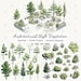 Architectural Plant Vector Set – 30+ Trees & Shrubs Elevation Clipart ...