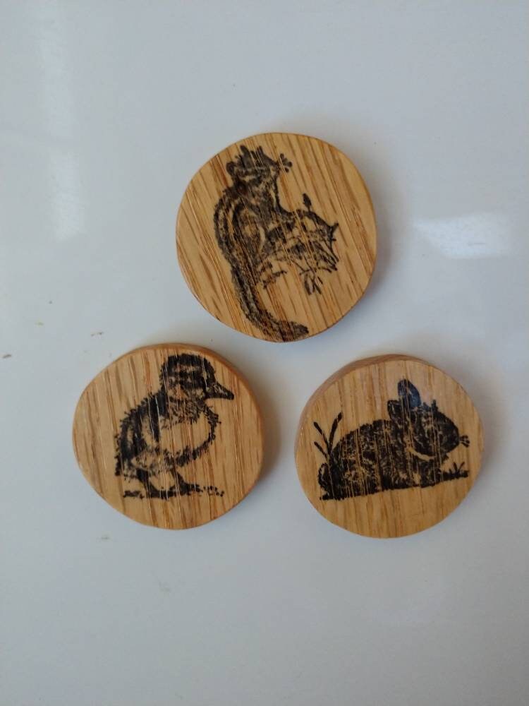 Wildlife Animal Refrigerator Magnet Sets Handmade Wooden | Etsy