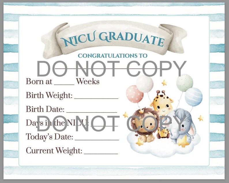 Baby Bear NICU Graduation Certificate - Etsy