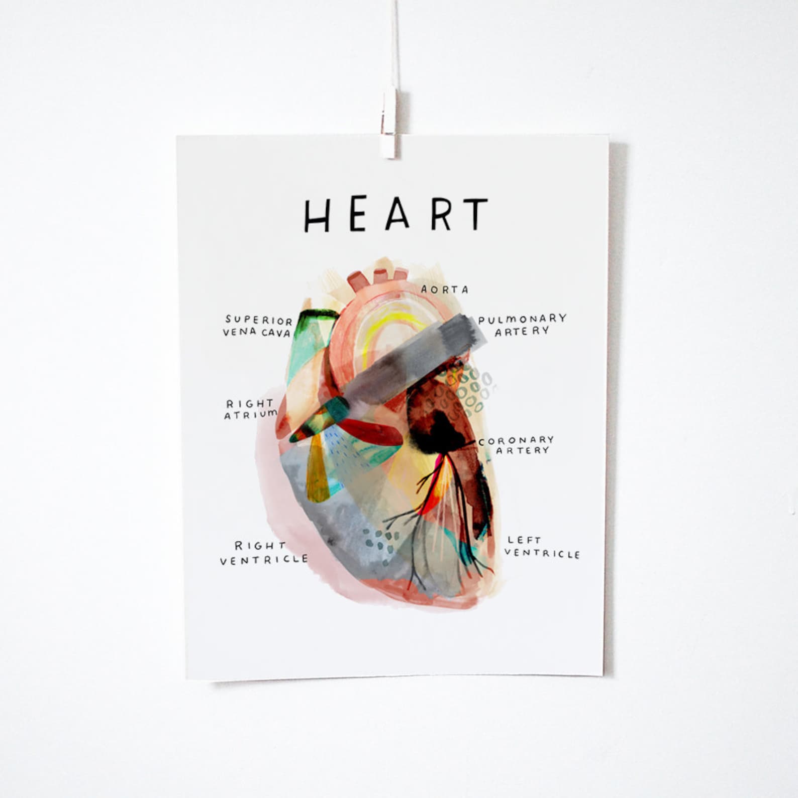 Anatomical Heart, Print - Etsy