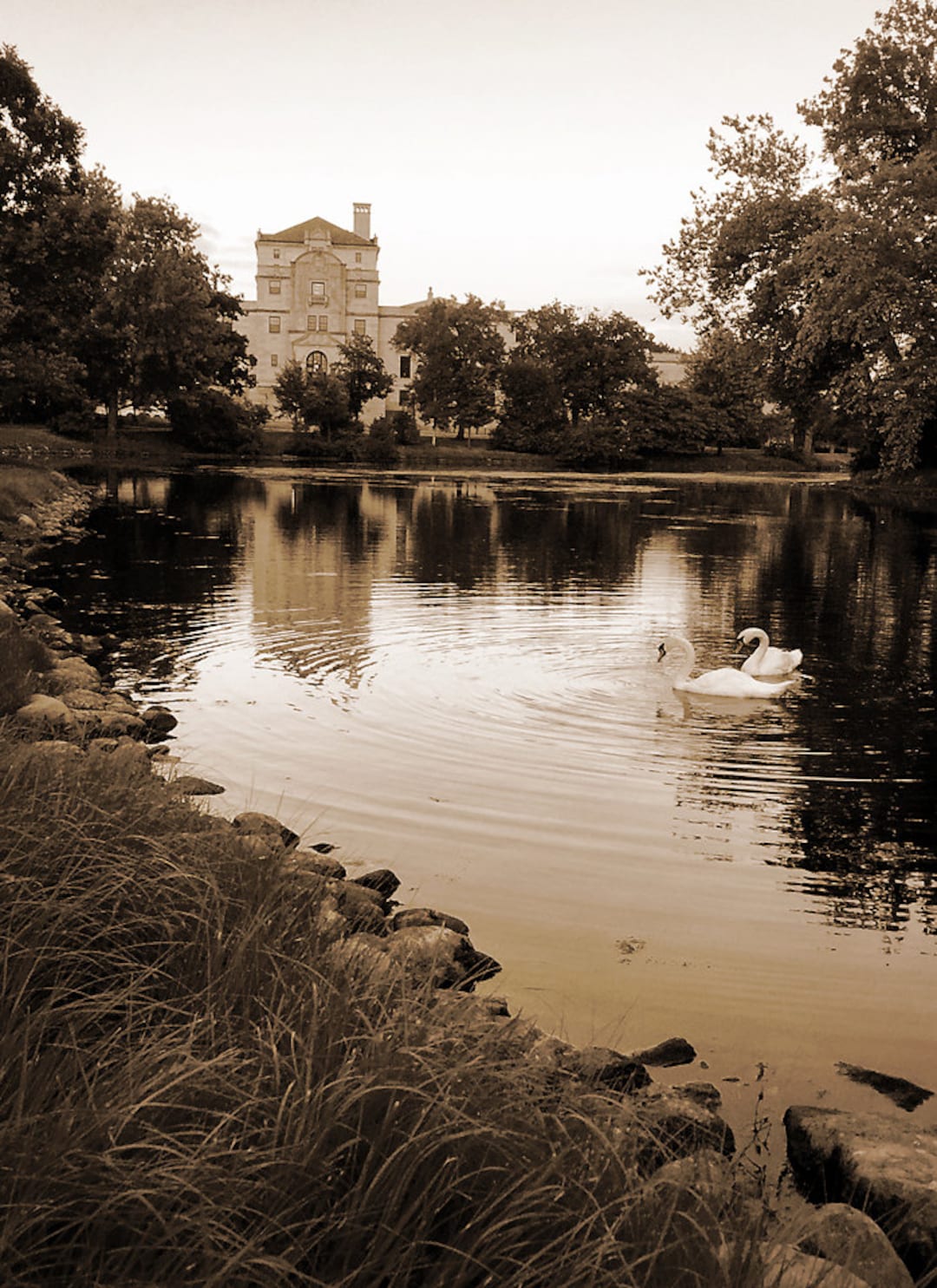 Iowa State University Print, Memorial Union Swans, Ames Iowa Art - Etsy