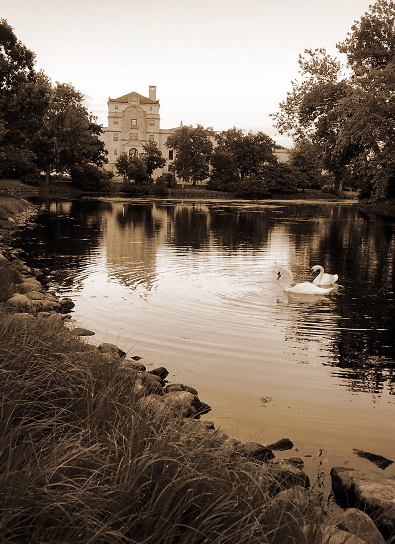 Iowa State University Print, Memorial Union Swans, Ames Iowa Art - Etsy
