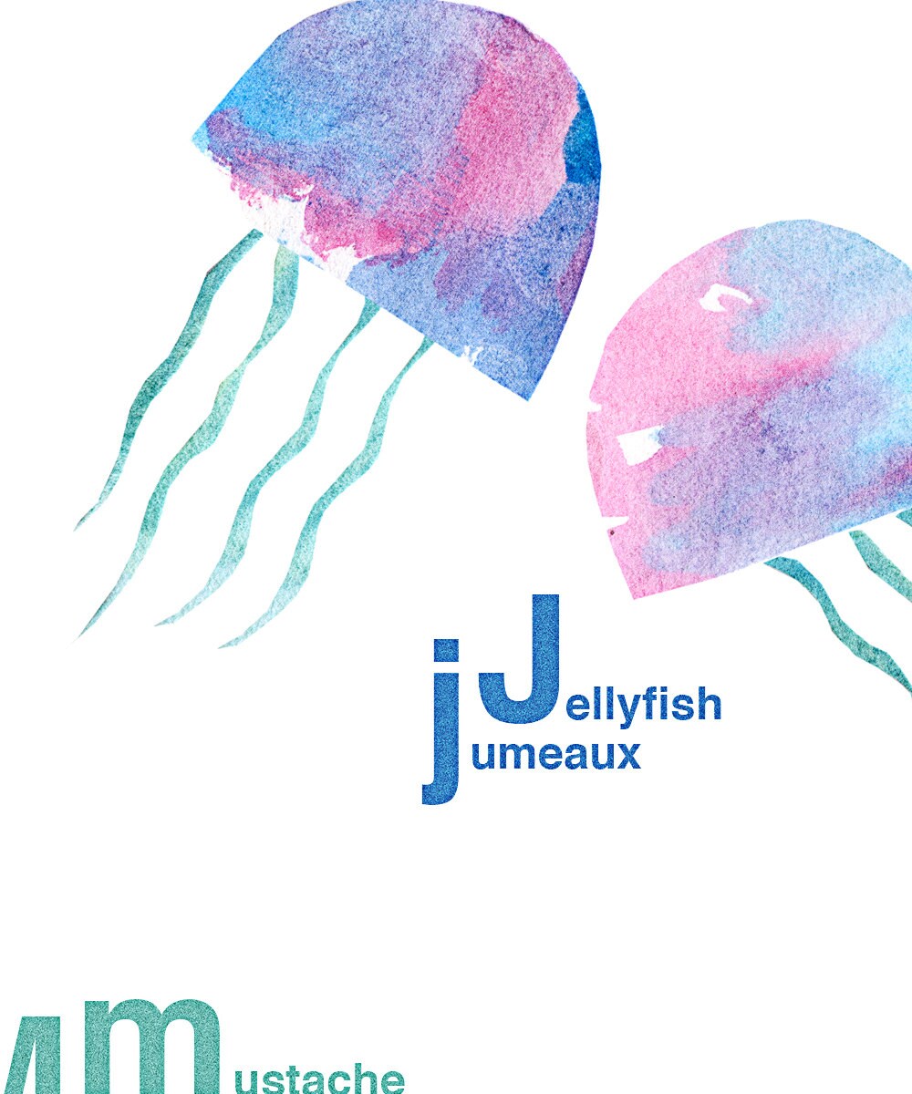 French English Alphabet Poster Art Print Bilingual Learn - Etsy