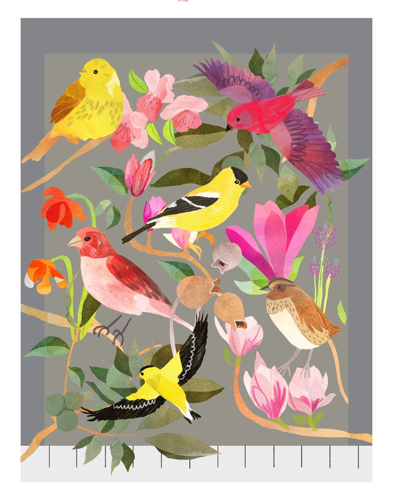 Birds and Flowers Colourful Wall Print Collage Unframed 11 X 14 ...