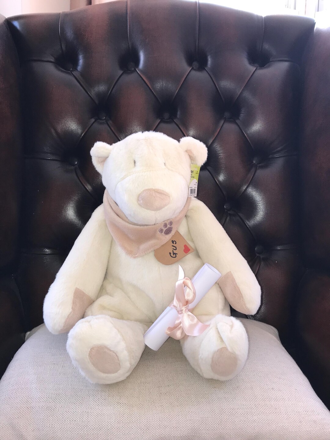 Adopt Gus - Cuddly White Saggy Sitting Teddy Bear With Neckerchief ...