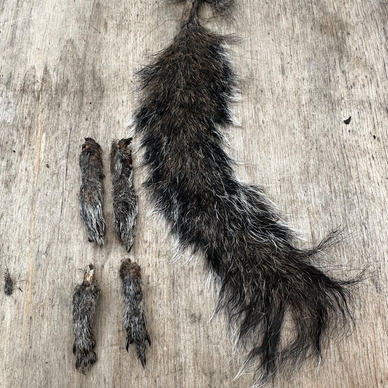 Squirrel Feet - Etsy