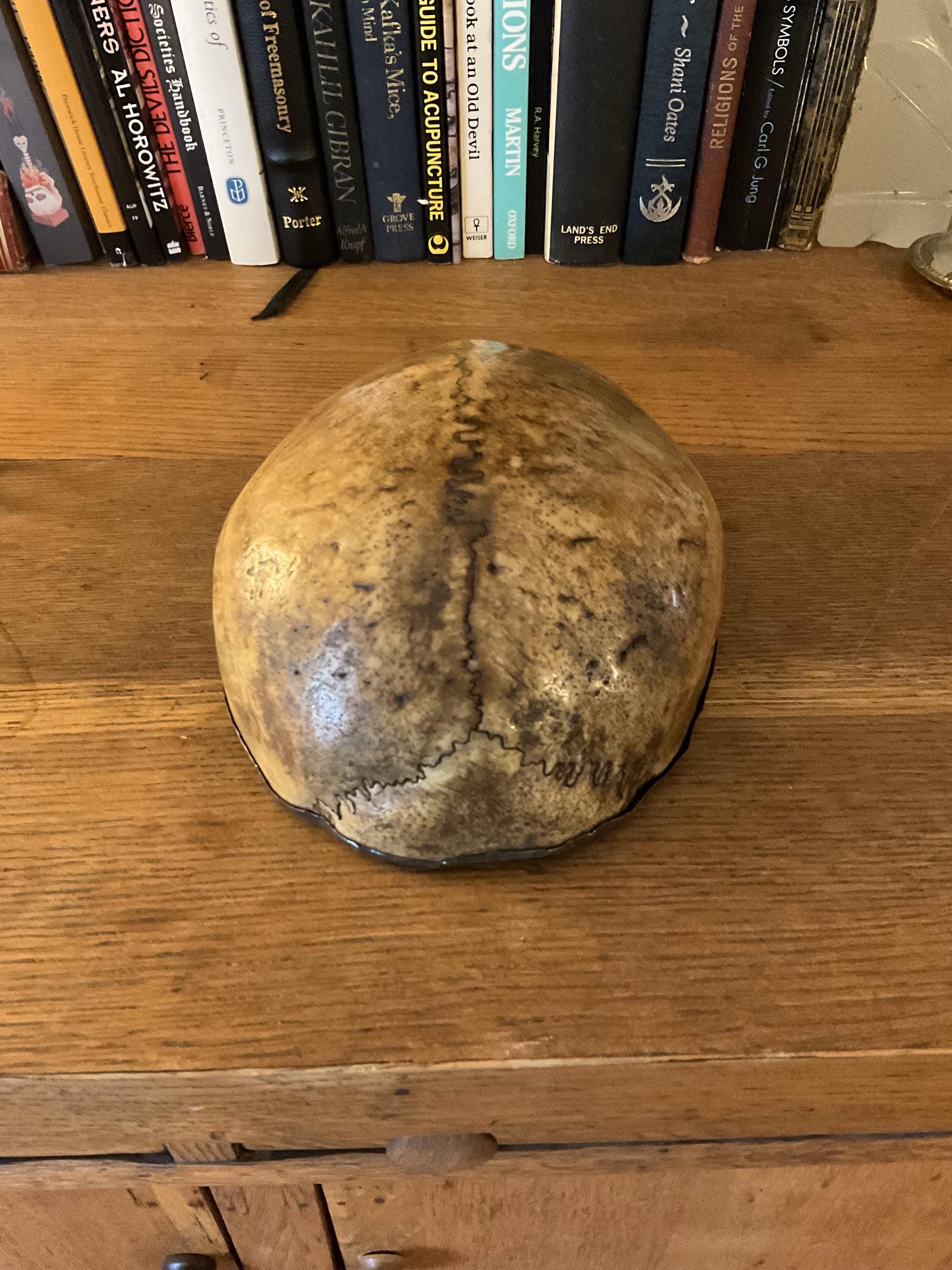 Genuine Tibetan Kapala, Human Skull - Etsy