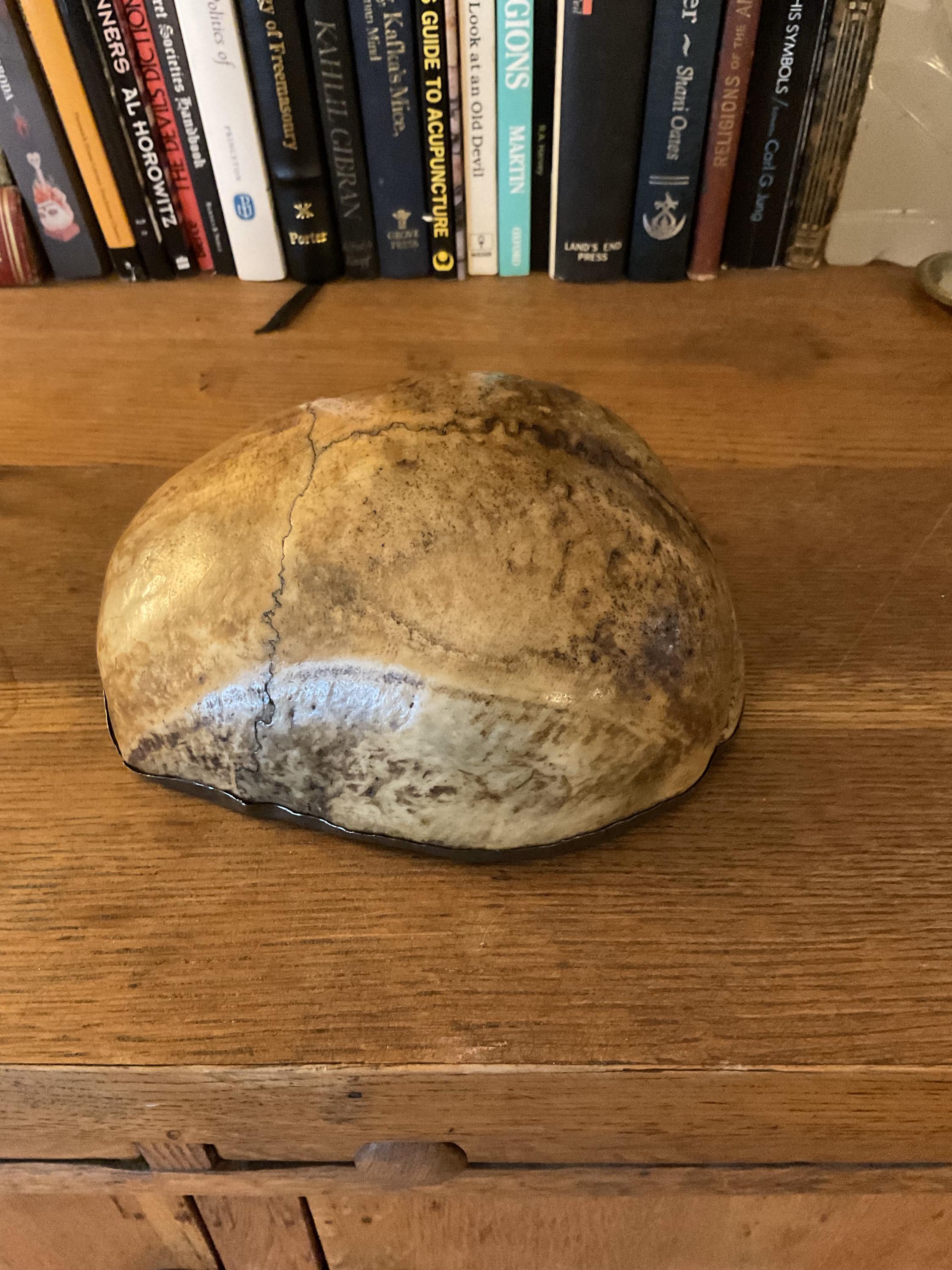 Genuine Tibetan Kapala, Human Skull - Etsy