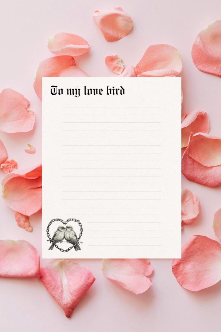 Printable Prison Stationery PDF - Inmate Letter Paper, Jail Mail Pen ...