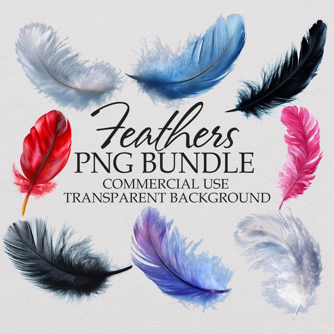 Boho Feather PNG Clipart: Tribal Bird Graphics, Multicolored Feathers ...