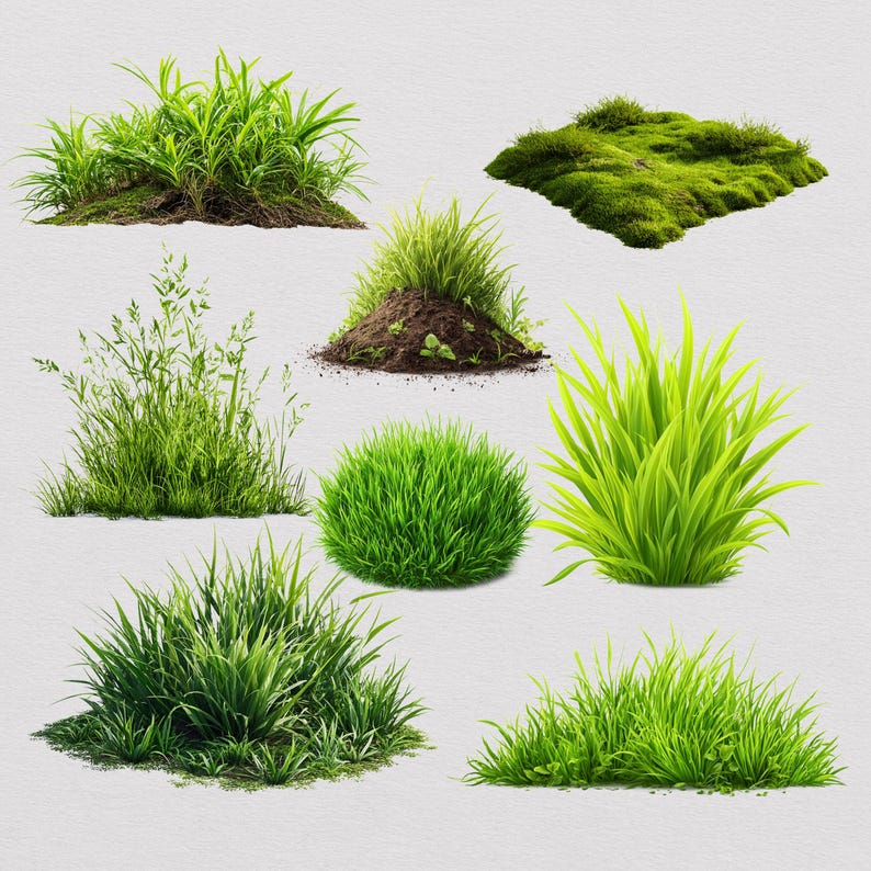 Grass and Lawn PNG Bundle – Meadow Landscape Clipart (digital Download ...