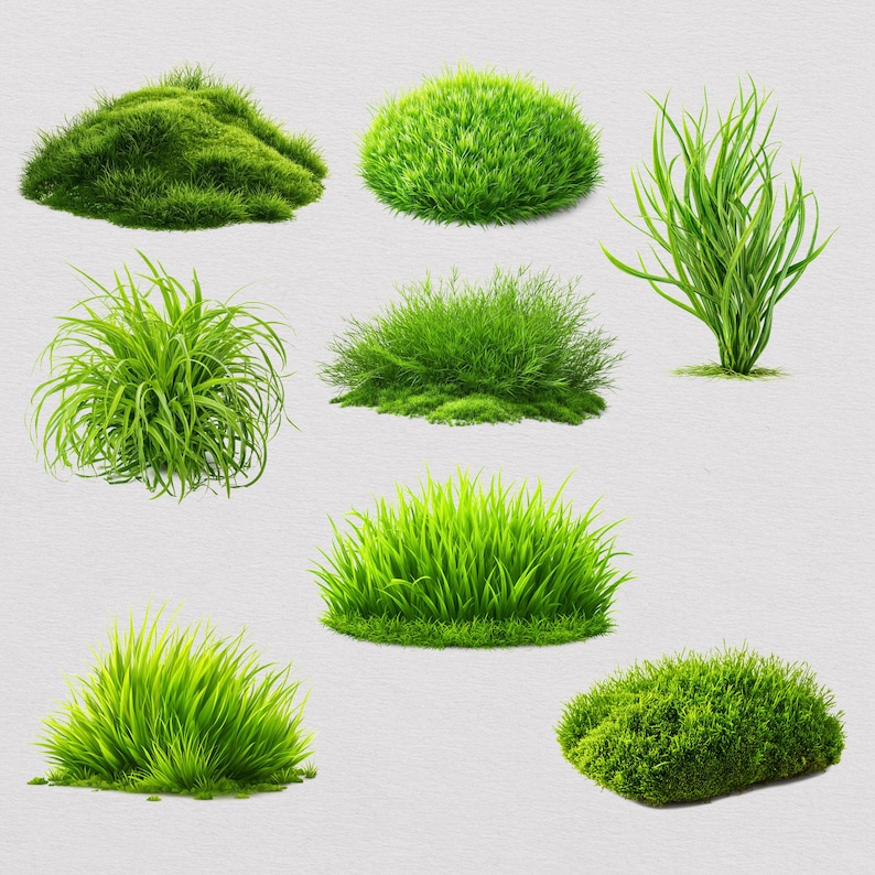 Grass and Lawn PNG Bundle – Meadow Landscape Clipart (digital Download ...