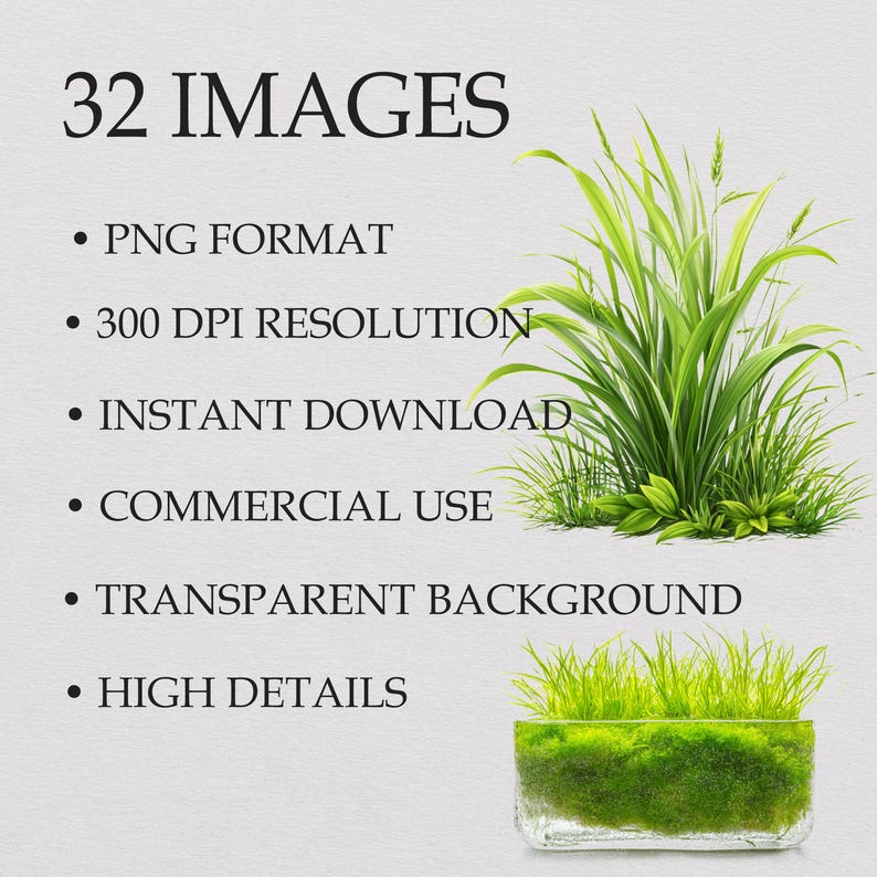 Grass and Lawn PNG Bundle – Meadow Landscape Clipart (digital Download ...