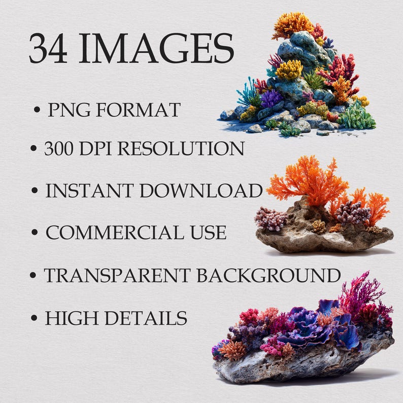 Sea Coral PNG Clipart Bundle: Marine Life Illustrations (transparent ...