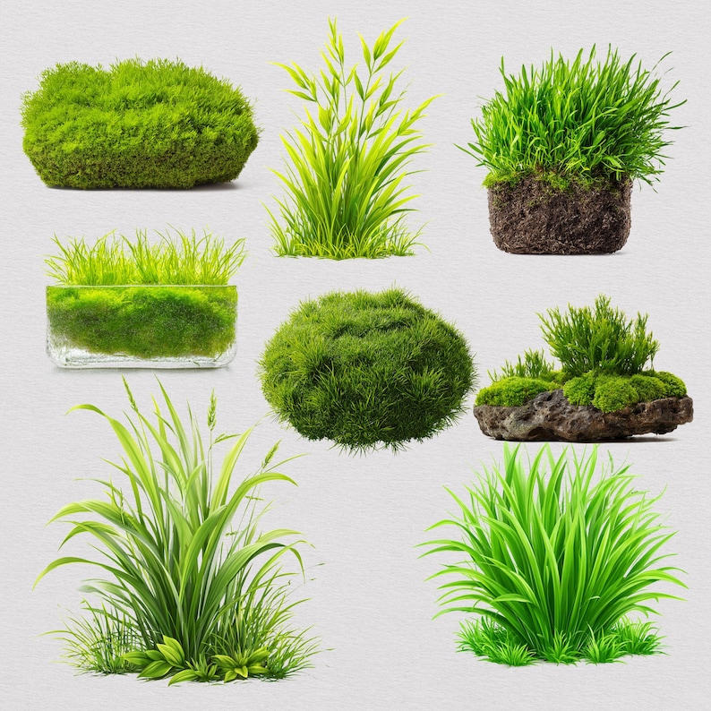 Grass and Lawn PNG Bundle – Meadow Landscape Clipart (digital Download ...