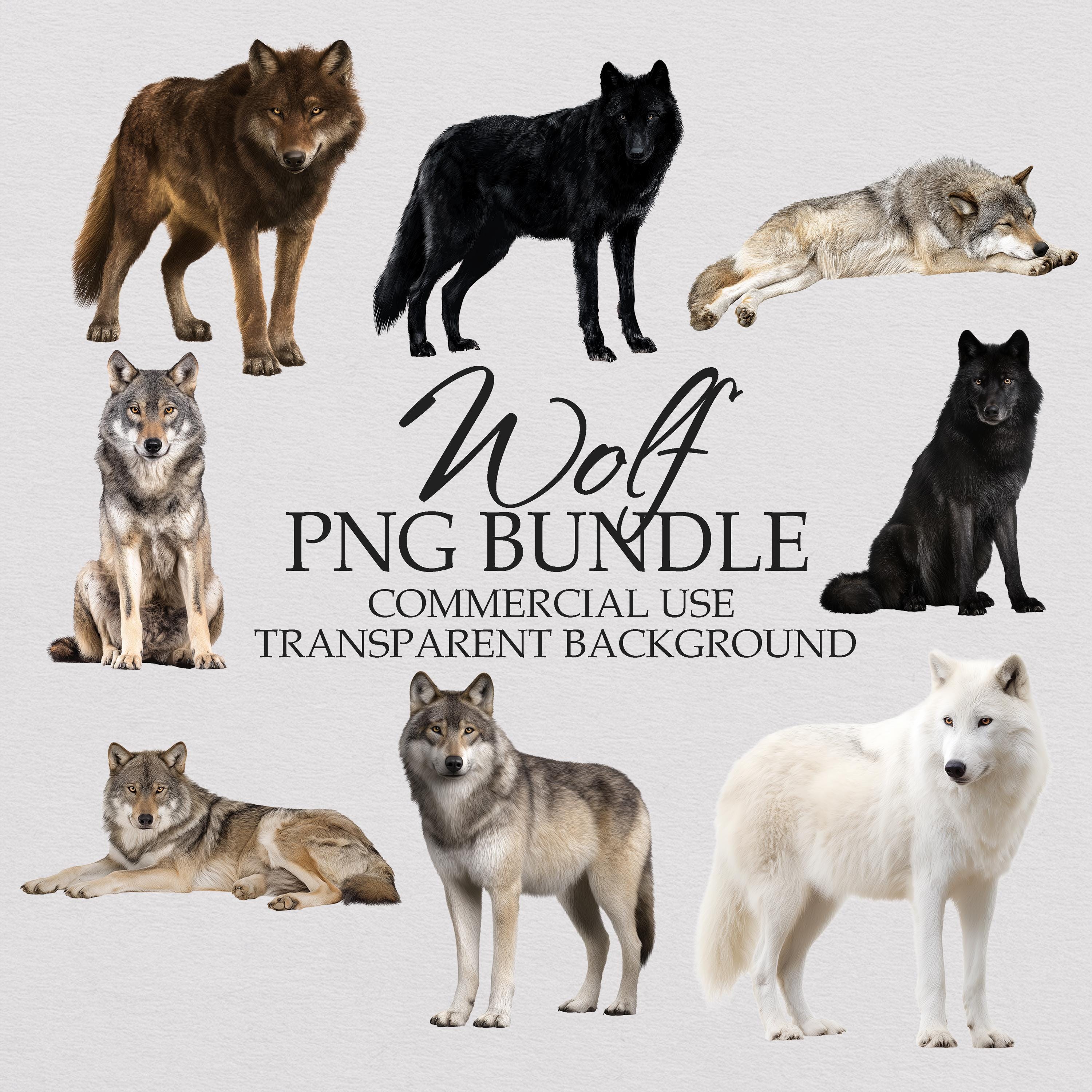 Watercolor Wolf PNG Clipart: Realistic Wolves Bundle (digital Download ...