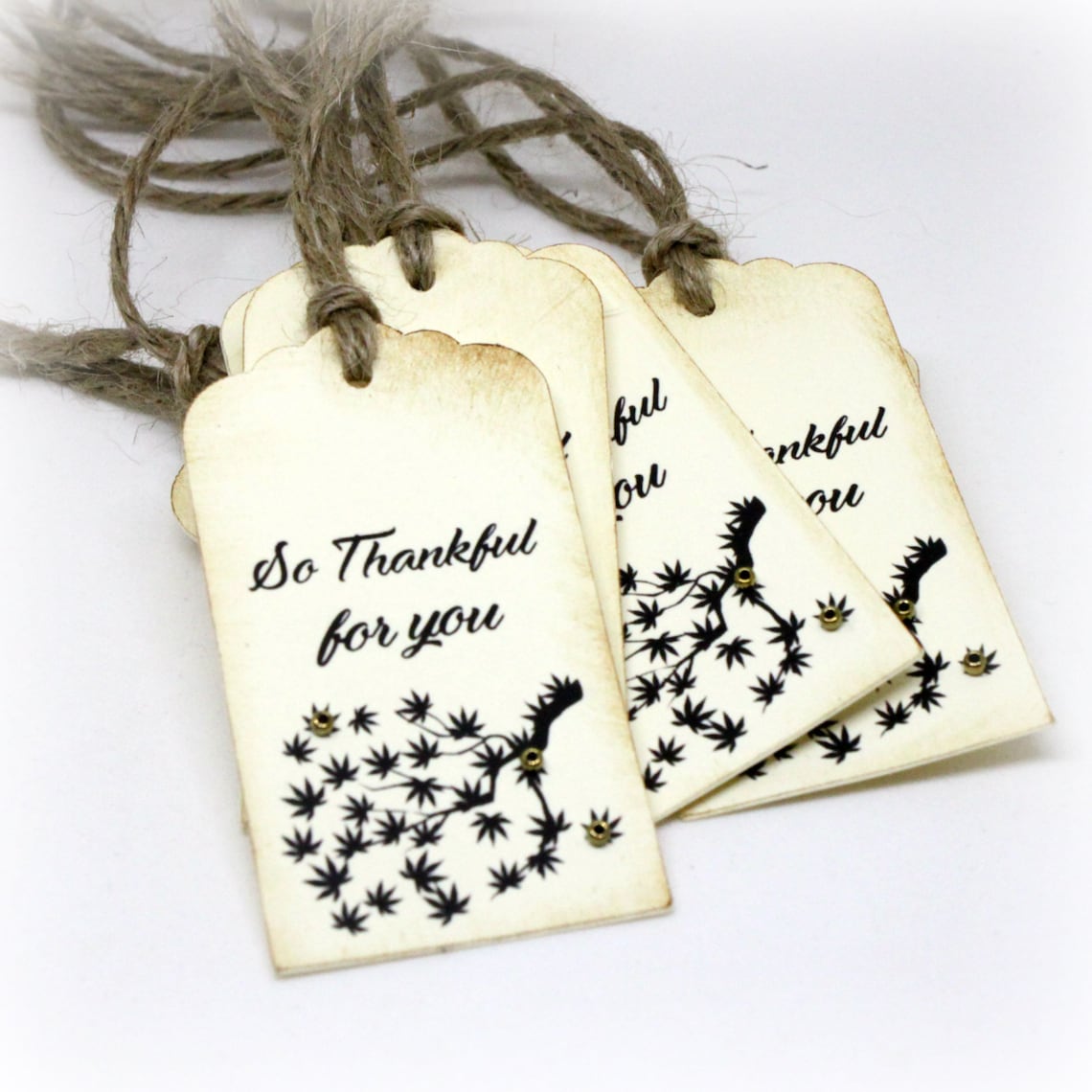 Vintage Inspired Gift Tags double Layered so Thankful for - Etsy