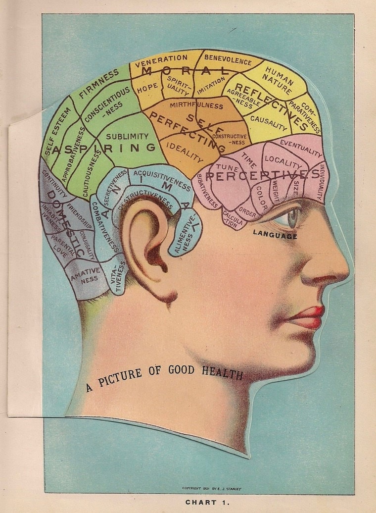 Digital Download- 1900s Brain Map Plus 3 More Layered Views of Head and ...