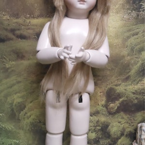 Artists Reproduction Steiner Doll Beautiful Soft Authentic Looking ...