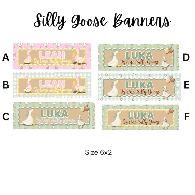 Personalized Silly Goose First Birthday Banner | 6x2 Party Decor - Etsy