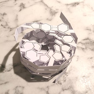 DIY DNA Double Helix Model: Unleash Your Inner Scientist With This ...