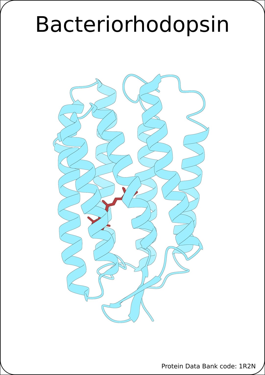 Protein Structure Colouring Pages: Science Biology, Educational ...