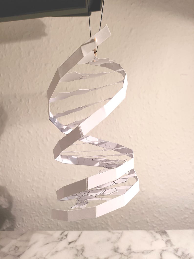DIY DNA Double Helix Model: Unleash Your Inner Scientist With This ...