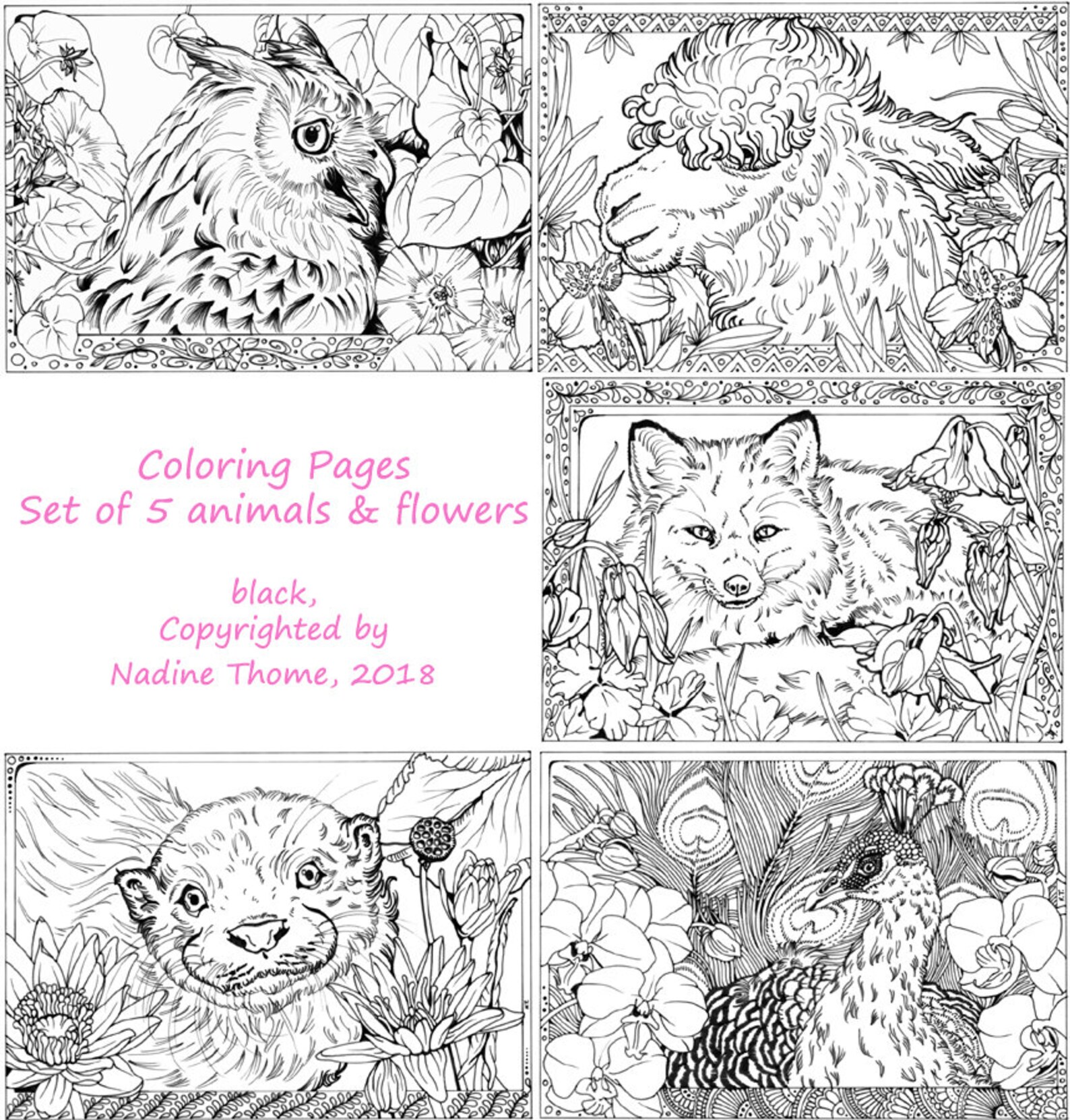 Set of 5 Coloring Pages in Black Line Work Animals and - Etsy