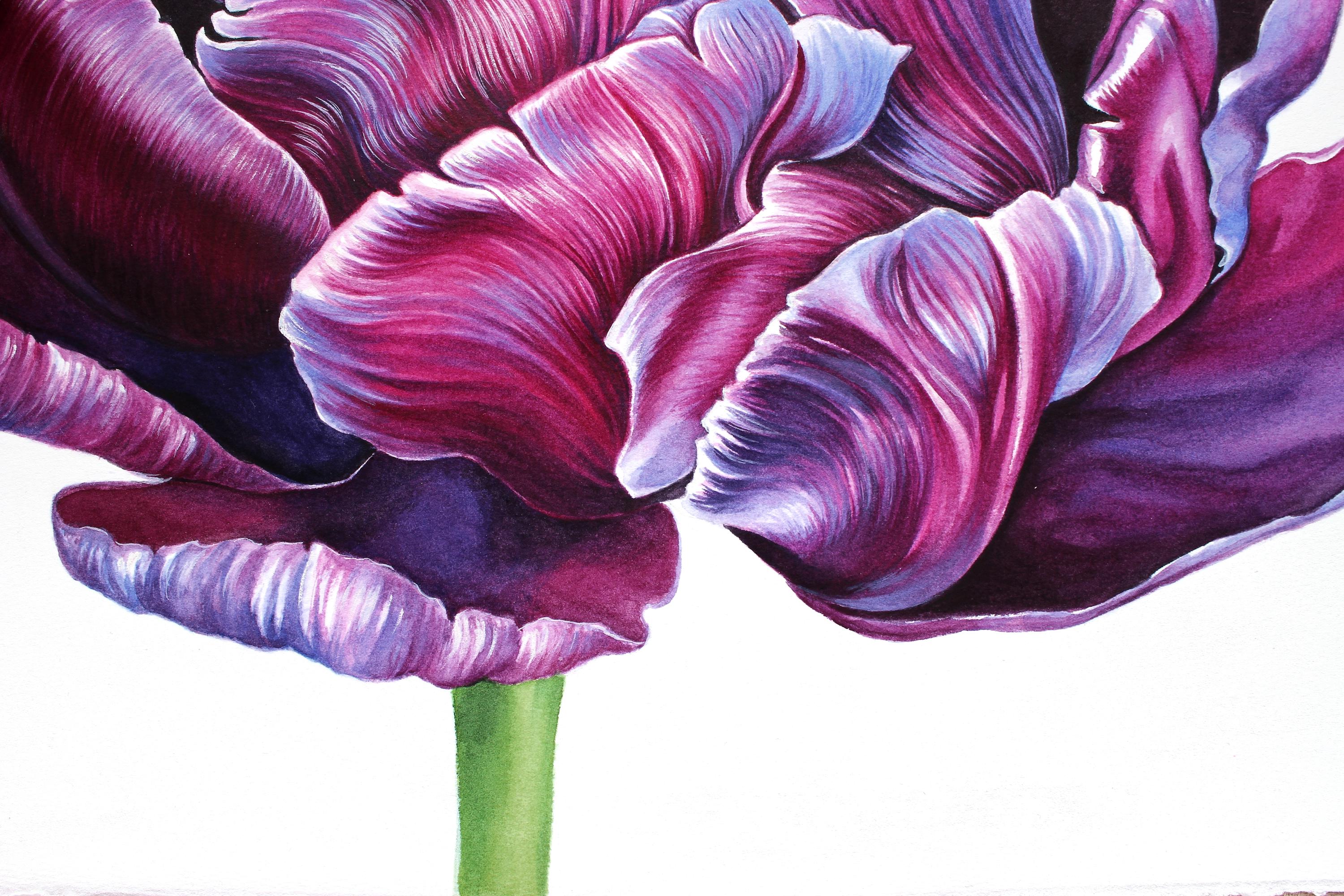 Purple Tulip Original Watercolor Painting Botanical Art Realistic Hand ...