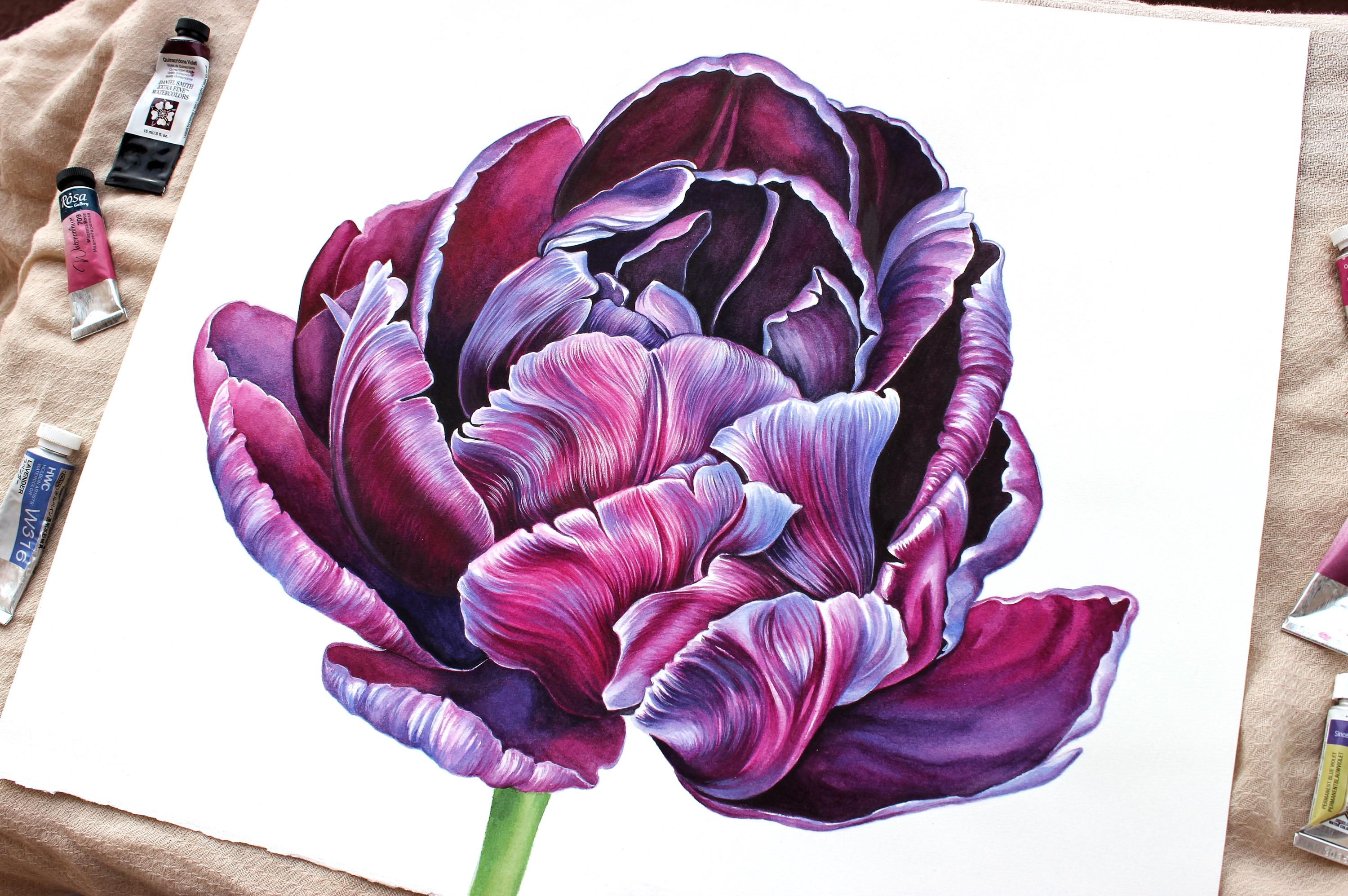 Purple Tulip Original Watercolor Painting Botanical Art Realistic Hand ...