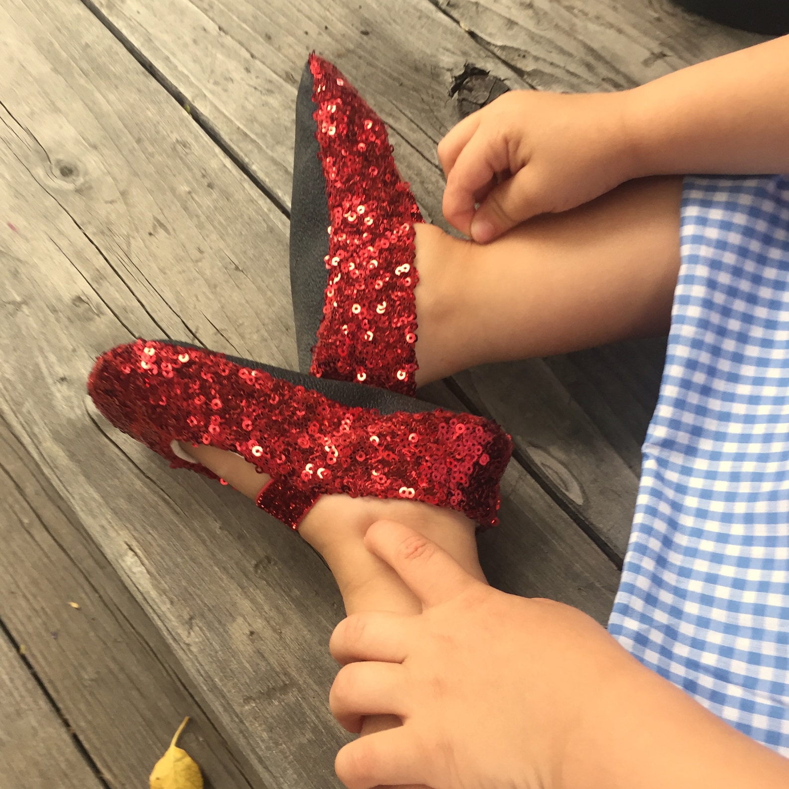 Ruby Red Sequin Slippers - Dorothys Shoes Halloween - Baby and Toddler ...