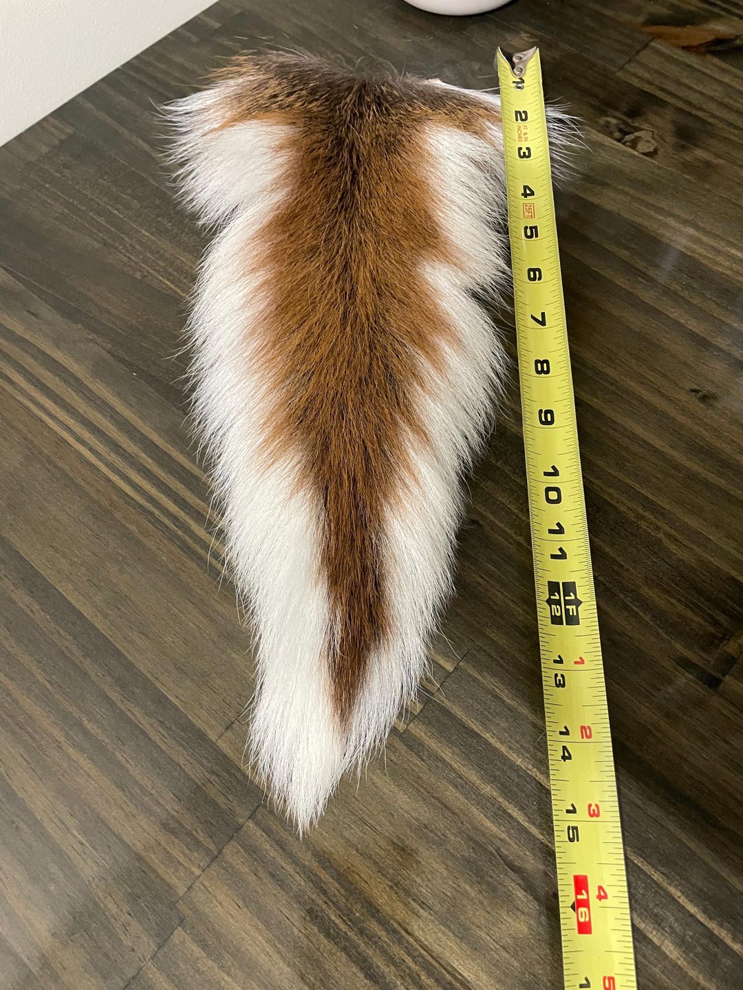Whitetail Deer Tail - Etsy