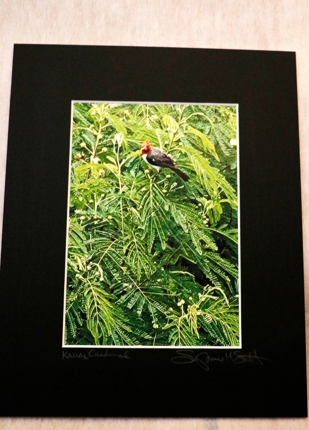 Kauai Cardinal - Etsy
