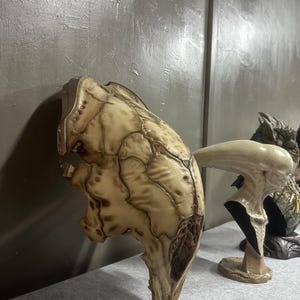 Predator "prey" Feral Predator Bone Mask, 1:1 Life-size Movie Prop ...