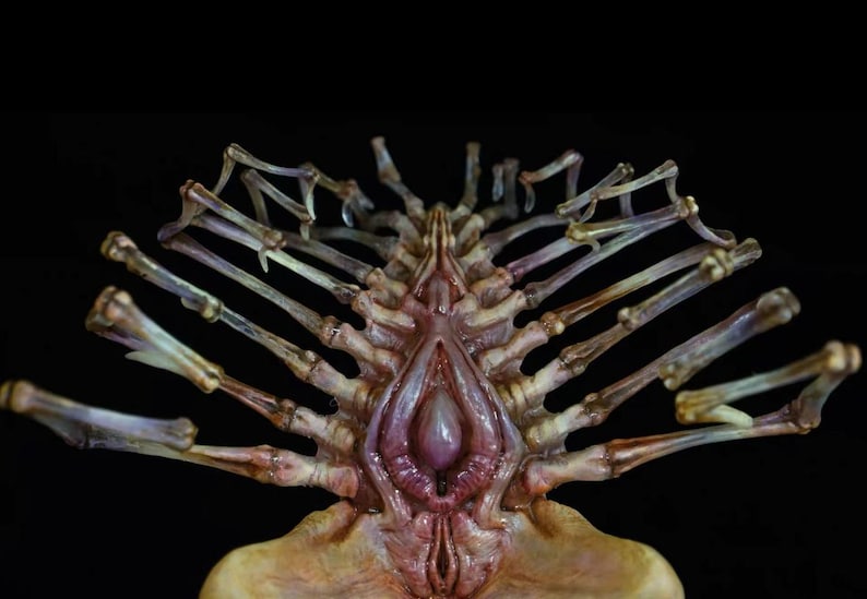 1:6 Scale Facehugger Alien Replica Bust – 12.5cm Hand-painted Horror ...