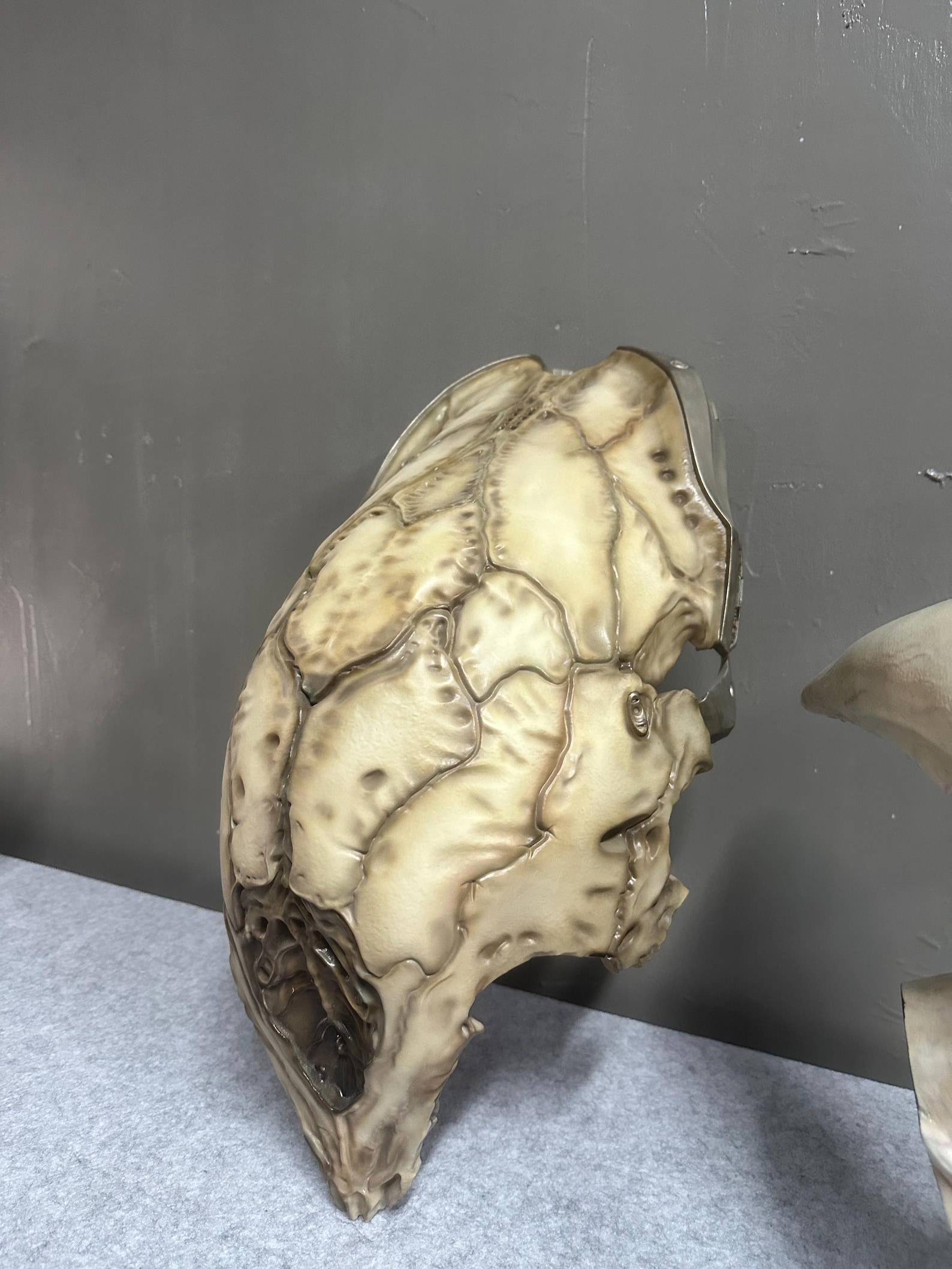 Predator "prey" Feral Predator Bone Mask, 1:1 Life-size Movie Prop ...