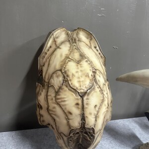 Predator "prey" Feral Predator Bone Mask, 1:1 Life-size Movie Prop ...